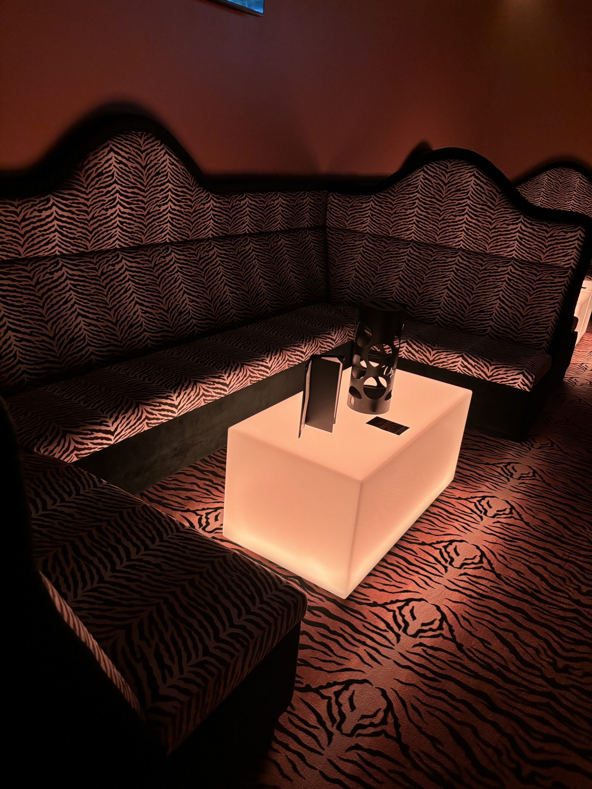 Gallery - Cheetah Premier Gentlemen's Club of Raleigh